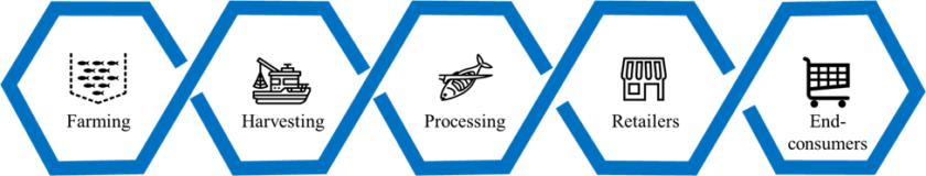 The Atlantic salmon value chain - TraceMyFish