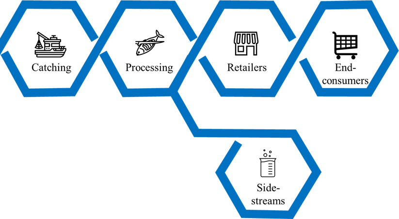 The Atlantic Whitefish Value Chain - TraceMyFish